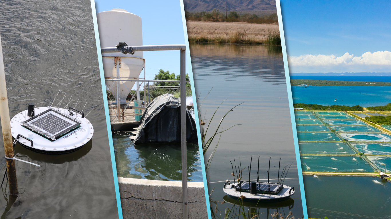 Aplicaciones | Aquasend