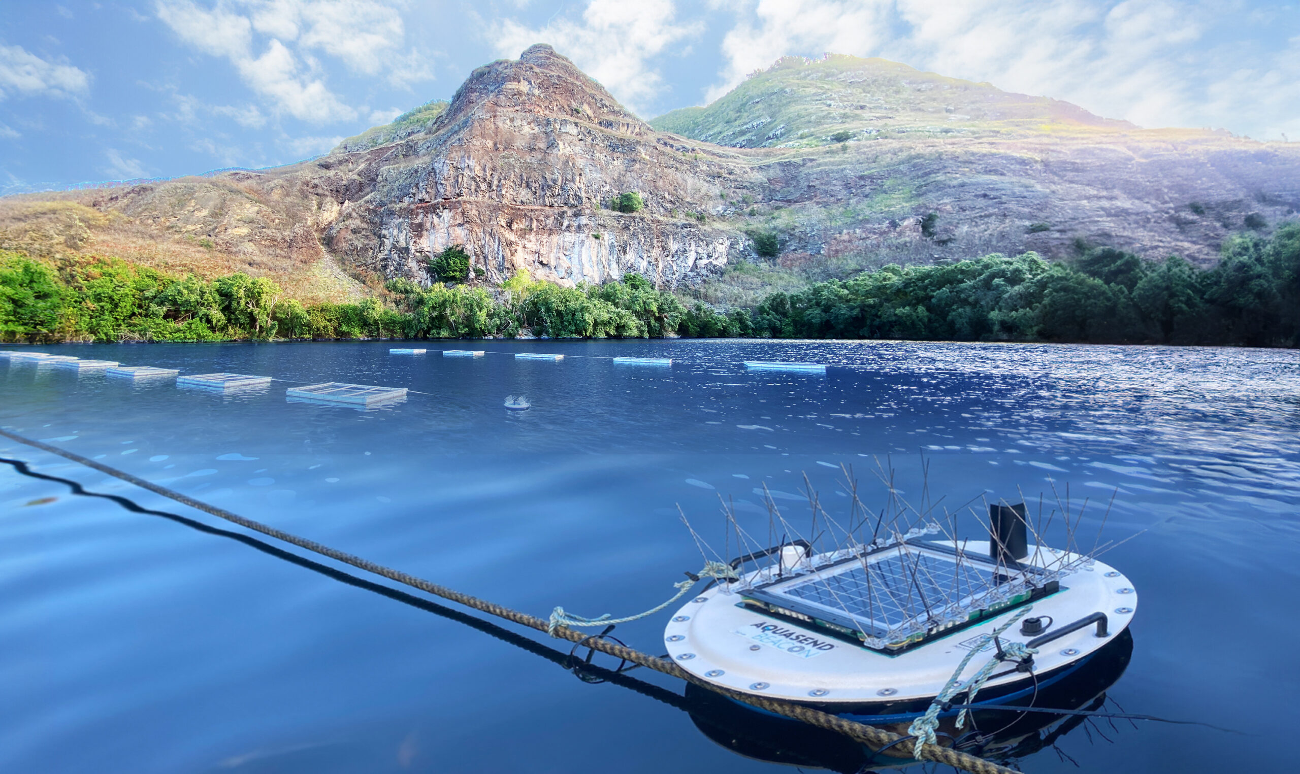 Water Quality Monitoring for Aquaculture & Hydroponics | Aquasend