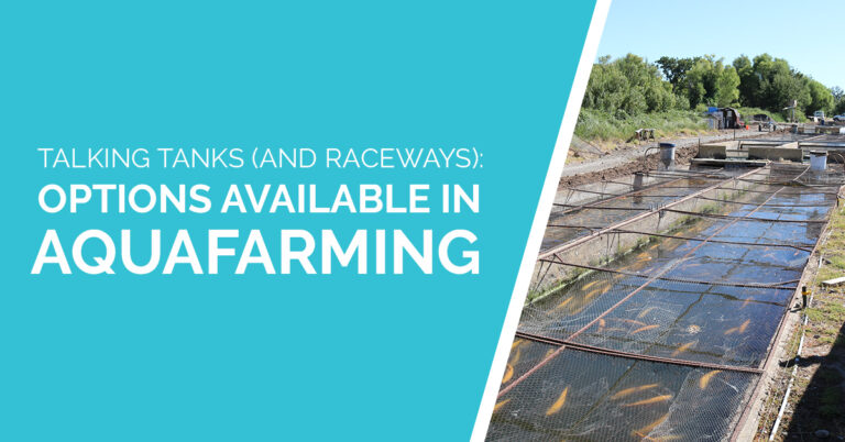 What is an Aquafarming Tank or Raceway