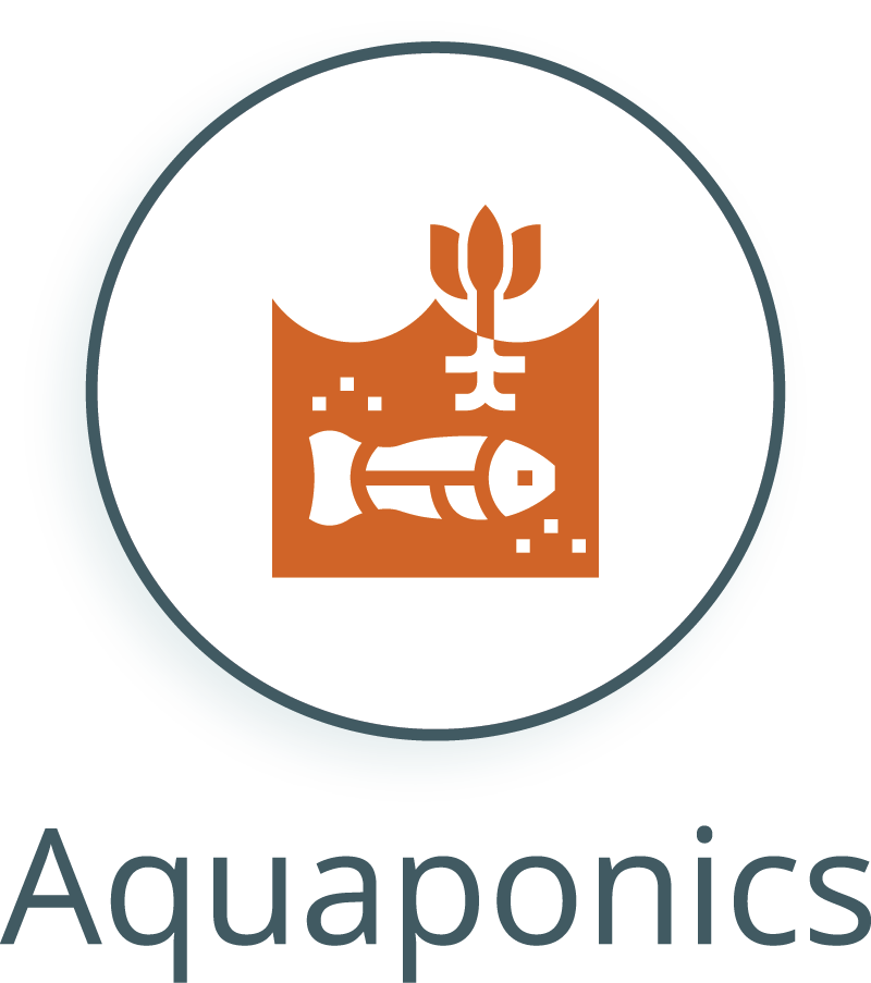 Water Quality Monitoring for Aquaculture & Hydroponics | Aquasend