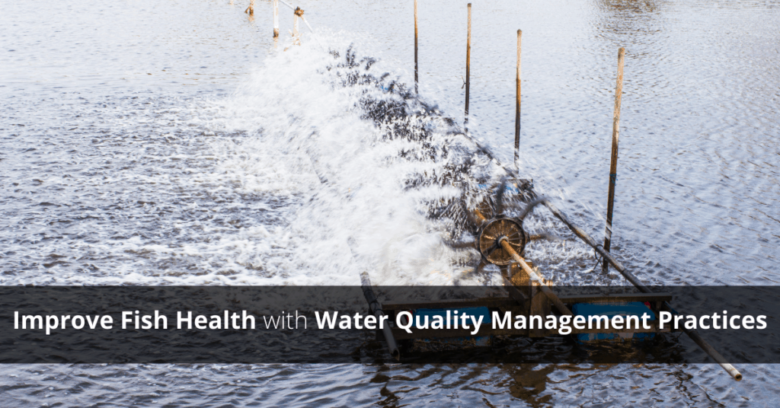 Improve Fish Health with Water Quality Management Practices | Aquasend