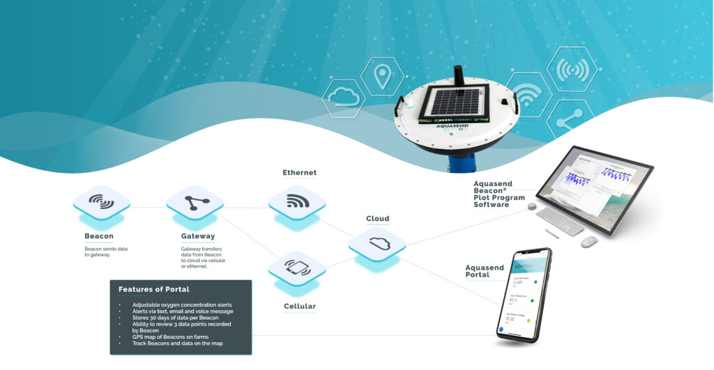 Real-Time Aquaculture Monitoring SaaS | Aquasend